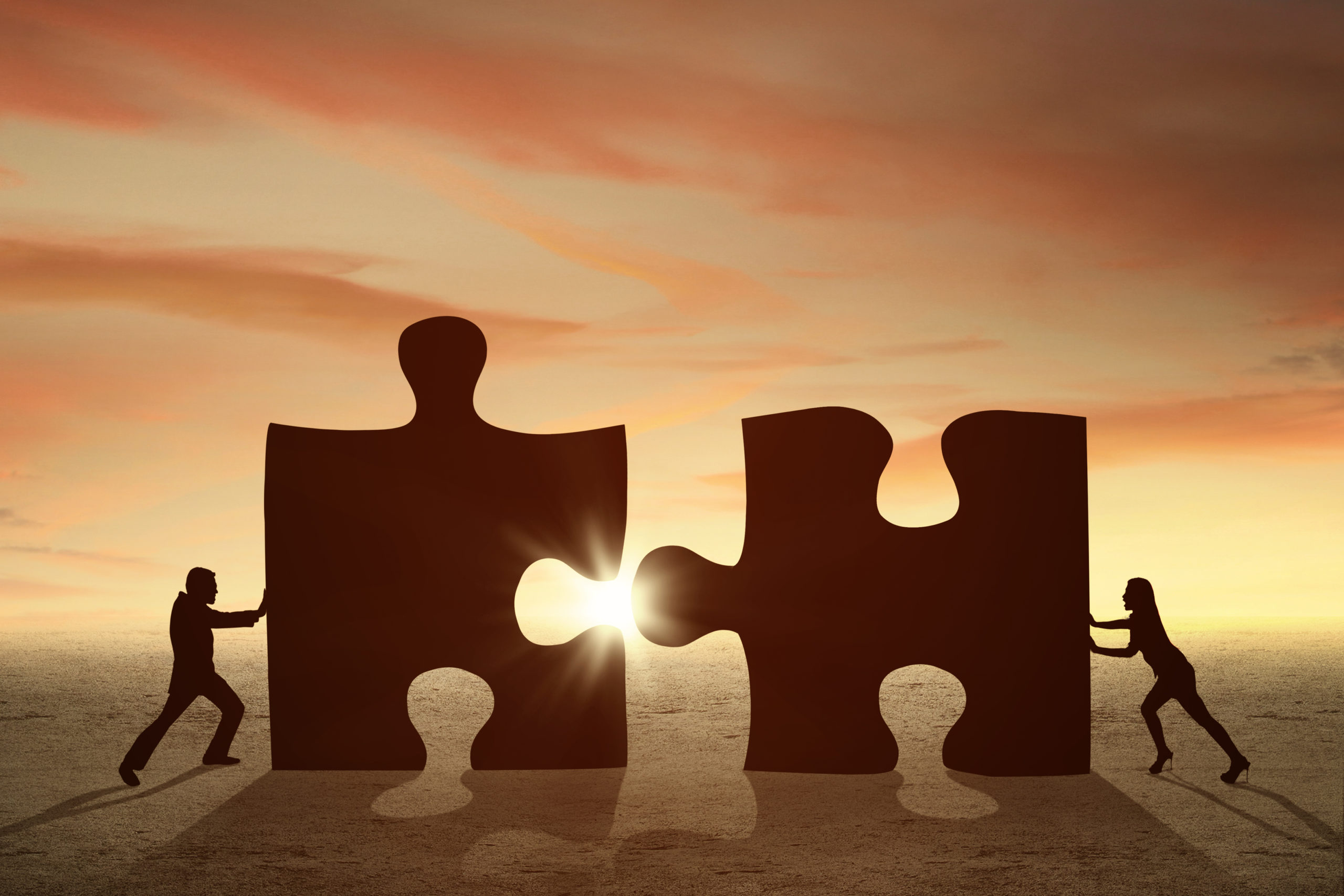 CLE Nonprofit M A Potential Benefits Risks And Alternatives